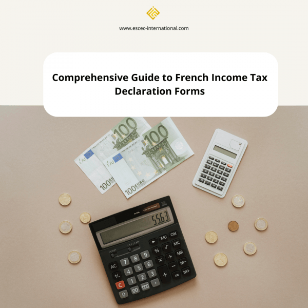 Avoid Mistakes in Your 2025 French Income Tax Filing