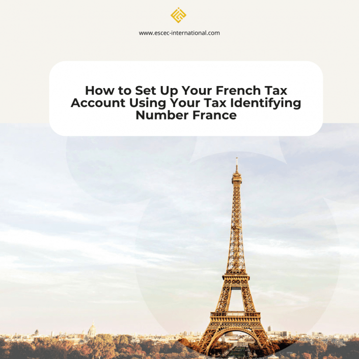 What Every Non-Resident - Tax Identifying Number France (2026)